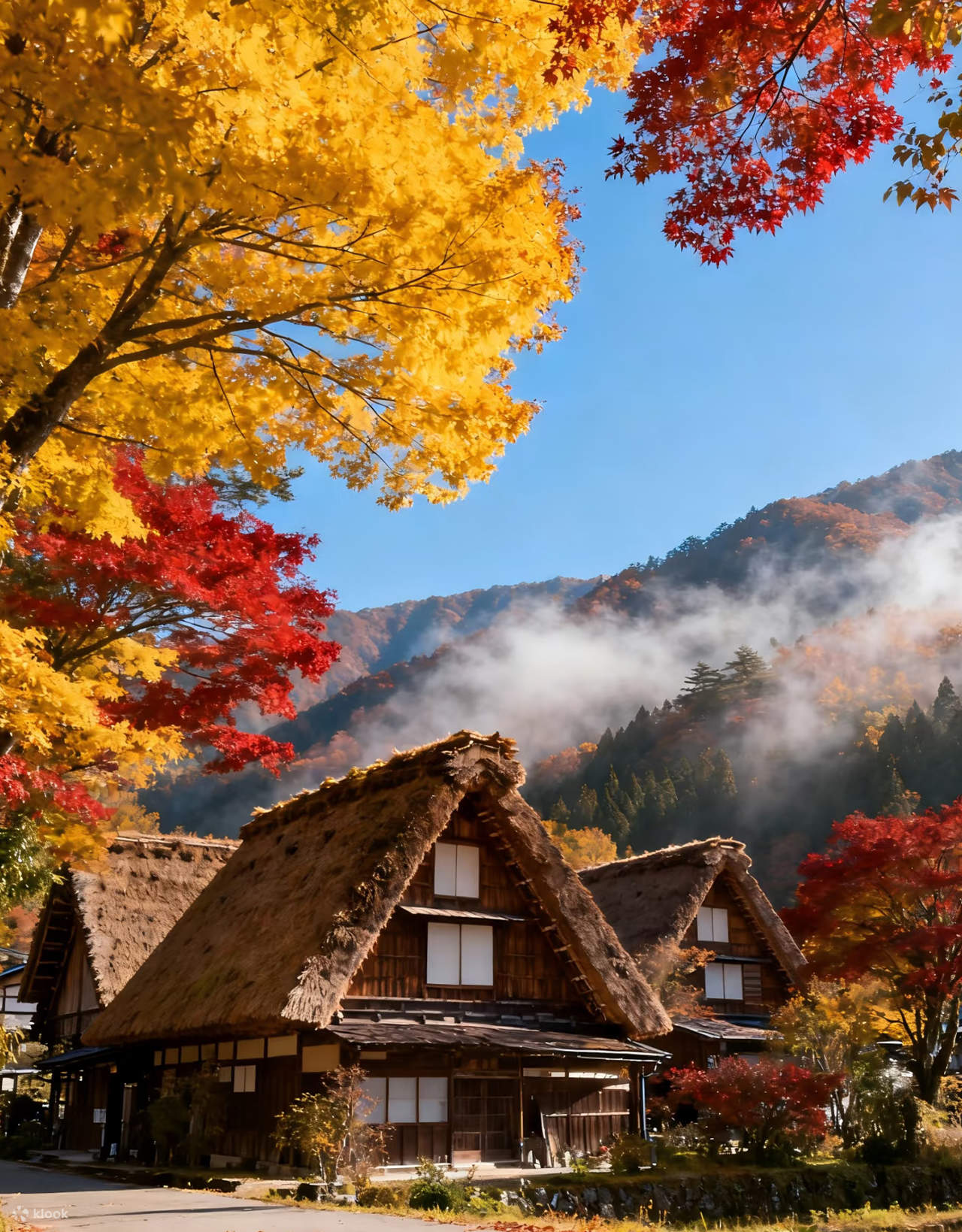 [Shirakawa-go Light-Up 2026] Takayama Old Town & Shirakawa-go Light-Up ...